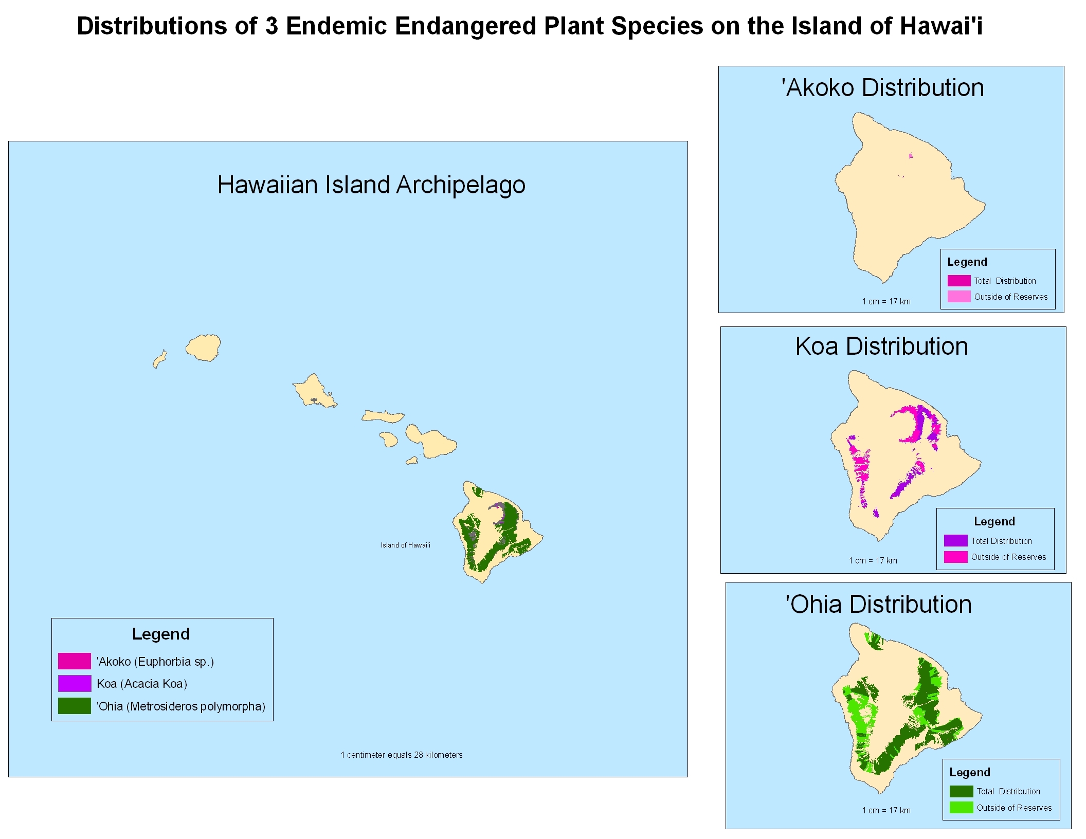 final projects abstracts